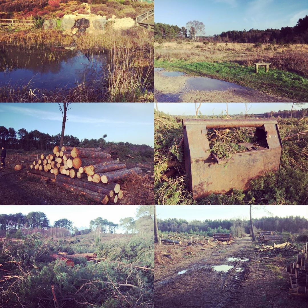 8 Best Walks In Bournemouth, Poole & Surrounding Areas